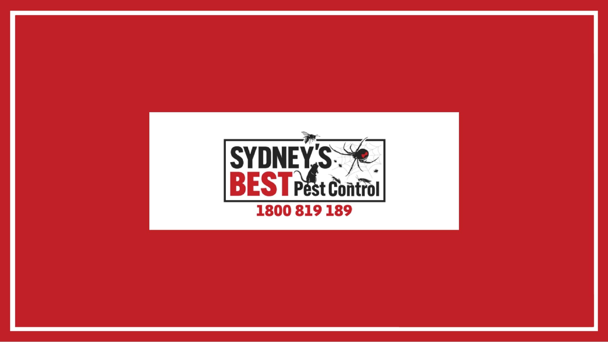 Top 5 Sydney pest control services for effective results [2026]